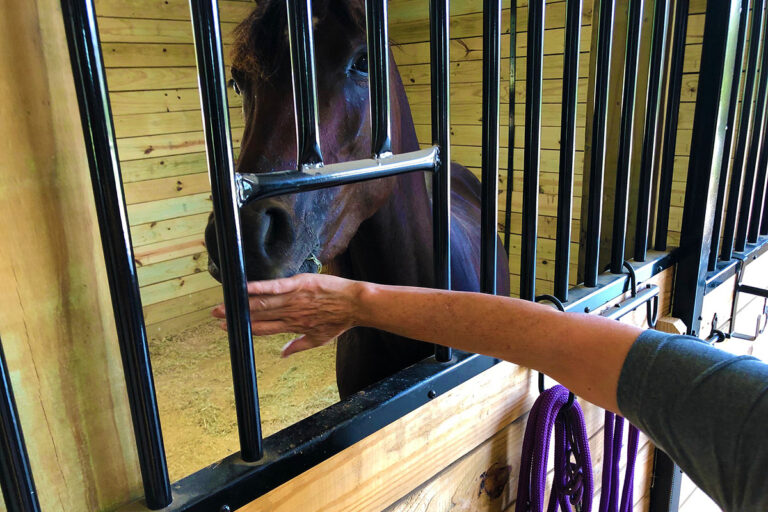 Gallery - Wilkerson Ranch